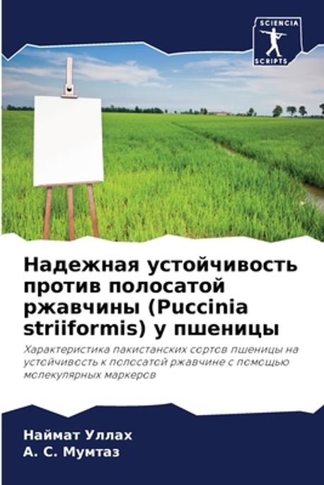 Надежная устойчивость п& | Уллах, - 교보문고