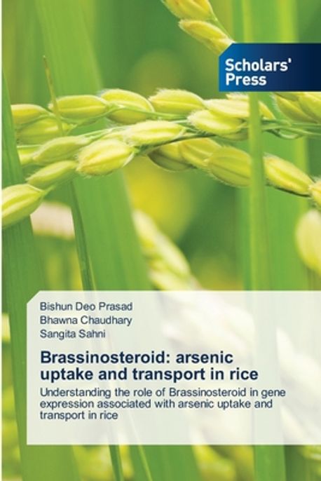 Brassinosteroid | Deo Prasad, Bishun - 교보문고
