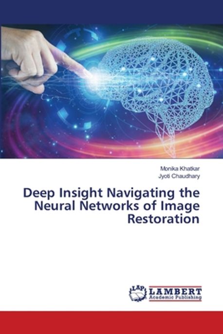 Deep Insight Navigating the Neural Networks of Image Restoration ...