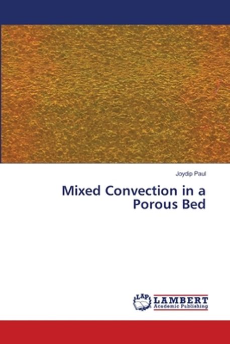 Mixed Convection in a Porous Bed | Paul, Joydip - 교보문고