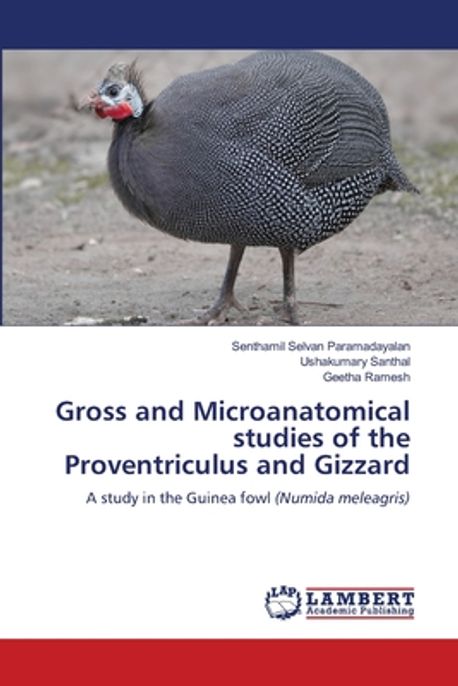 Gross and Microanatomical studies of the Proventriculus and Gizzard ...
