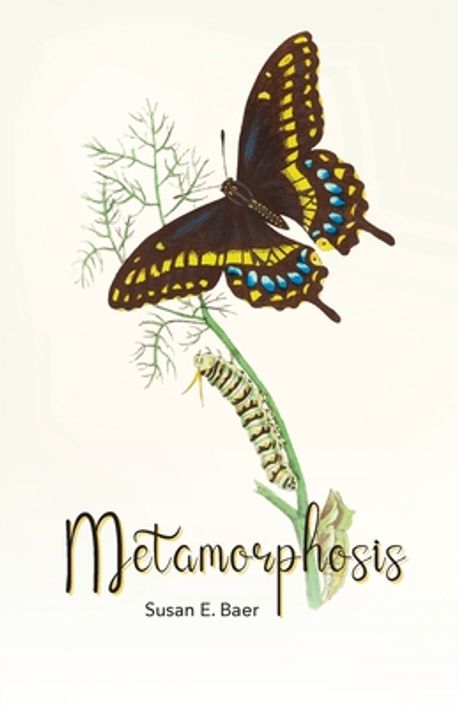 Metamorphosis | Baer, Susan E. - 교보문고