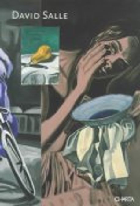 David Salle | Salle, David/ Audiello, Massimo - 교보문고