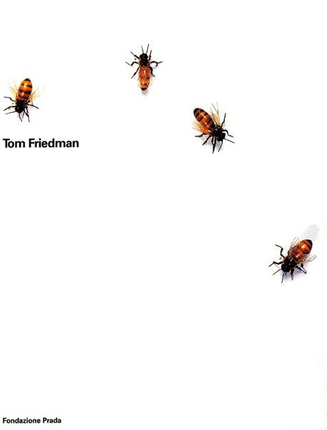 Tom Friedman | Friedman, Tom - 교보문고