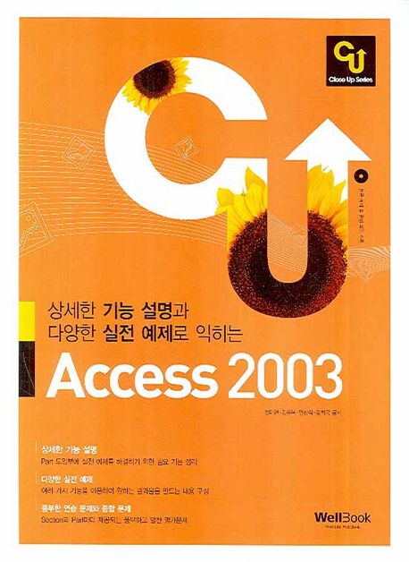 Access 2003 | 정미현 - 교보문고