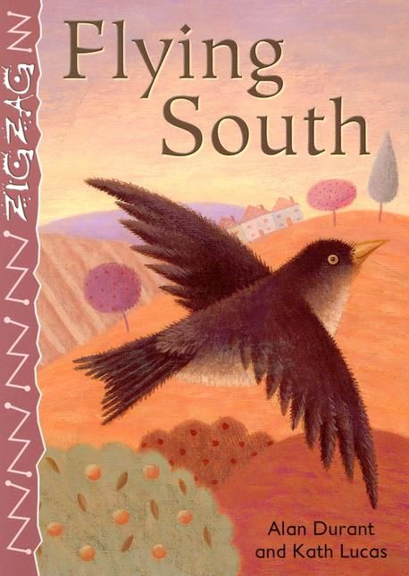 FLYING SOUTH | ALAN DURANT - 교보문고