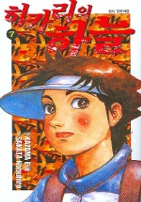 히카리의 하늘 7 | Sakata Nobuhiro - 교보문고