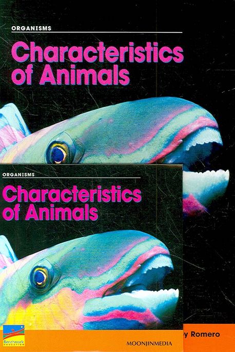 Characteristics of Animals | Libby Romero - 교보문고
