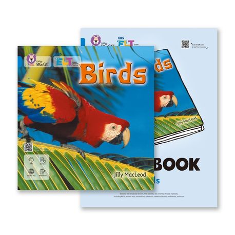 EBS ELT Big Cat Band 4: Birds | EBS 편집부 - 교보문고
