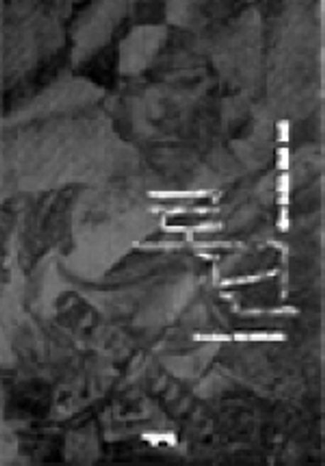 로닌 | D.A.HEELEY - 교보문고