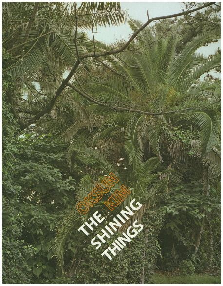 The Shining Things | 이영욱 - 교보문고