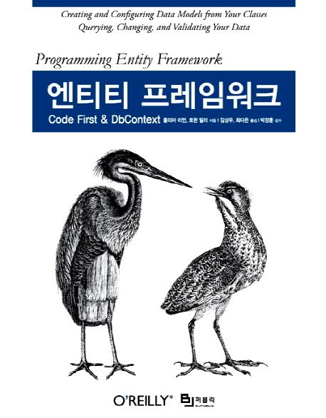 엔티티 프레임워크(Programming Entity Framework) | 줄리아 러먼 - 교보문고