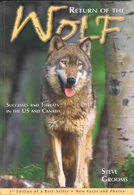 Return Of The Wolf : Success And Threats In The Us And Canada | Grooms ...