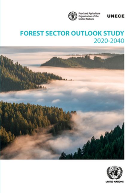 Forest Sector Outlook Study 2020-2040 | United Nations Publications - 교보문고