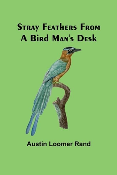 Stray Feathers From a Bird Man's Desk | Loomer Rand, Austin - 교보문고