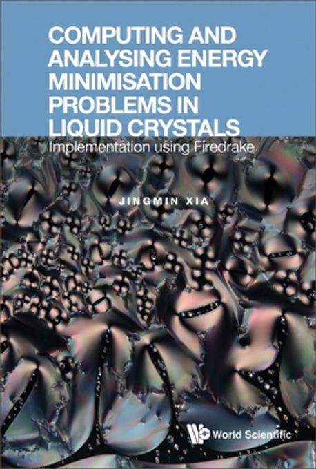 Computing and Analysing Energy Minimisation Problems in Liquid Crystals ...