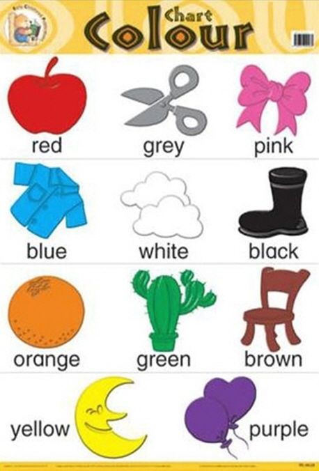 COLOURS CHART(PE-0028) | - 교보문고