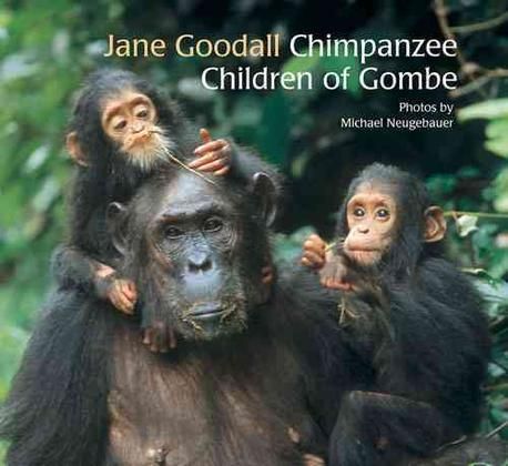 Chimpanzee Children of Gombe | Goodall, Jane, Ph.d - 교보문고