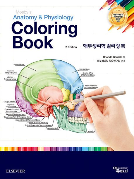 해부생리학 컬러링북 | Rhonda Gamble - 교보문고
