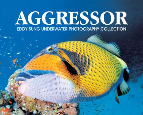 Aggressor | 성오용 - 교보문고