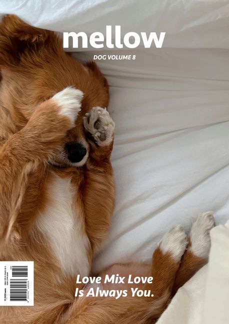 Mellow Dog Volume 8(멜로우 매거진) | 펫앤스토리 편집부 - 교보문고