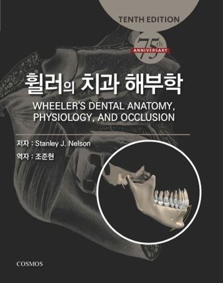 휠러의 치과 해부학 | Stanley J. Nelson - 교보문고