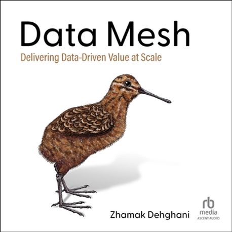 Data Mesh | Dehghani, Zhamak - 교보문고