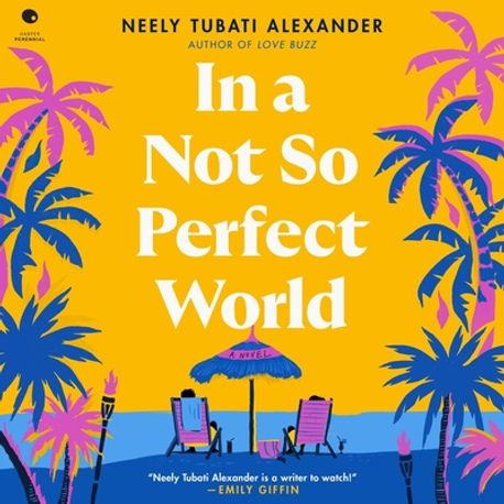 In a Not So Perfect World | Alexander, Neely Tubati - 교보문고