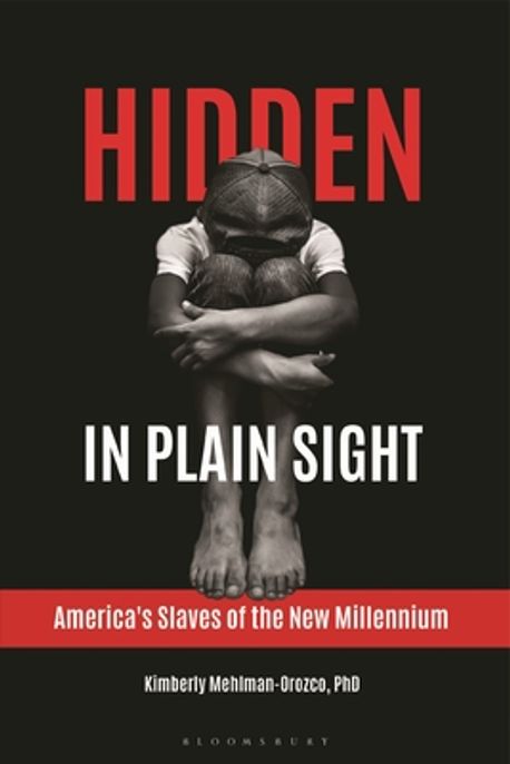 Hidden in Plain Sight | Mehlman-Orozco, Kimberly - 교보문고