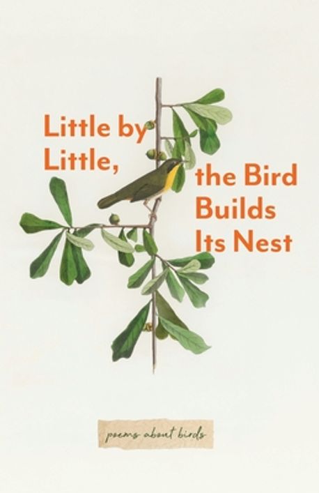 Little By Little, The Bird Builds Its Nest | Paris Morning Publications ...