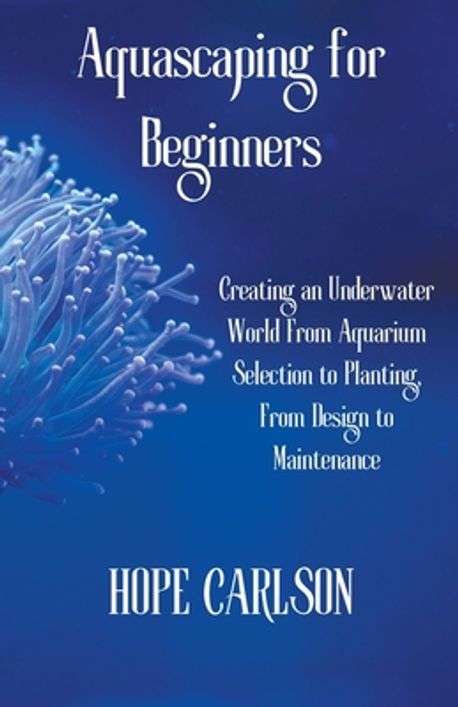 Aquascaping for Beginners Creating an Underwater World From Aquarium ...