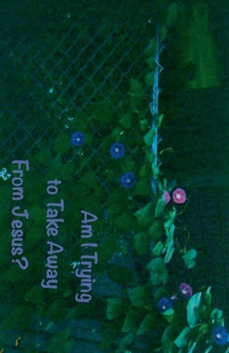 Am I Trying to Take Away From Jesus? | Meiner, Stephen - 교보문고