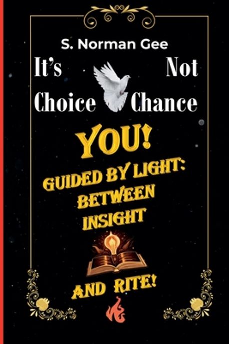 You Guided By Light Between Insight And Rite! | Gee, S. Norman - 교보문고