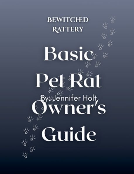 Bewitched Rattery Pet Rat Owner's Guide | Holt, Jennifer - 교보문고