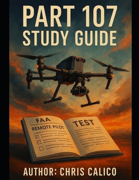 Soar to Success | Layne, Nick - 교보문고