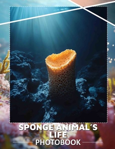 Sponge Animal's Life Photo Book | Maldonado, Ria - 교보문고