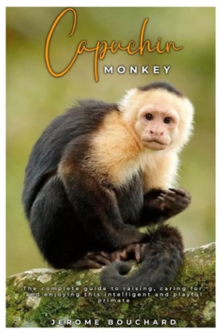 Capuchin Monkey | Bouchard, Jerome - 교보문고