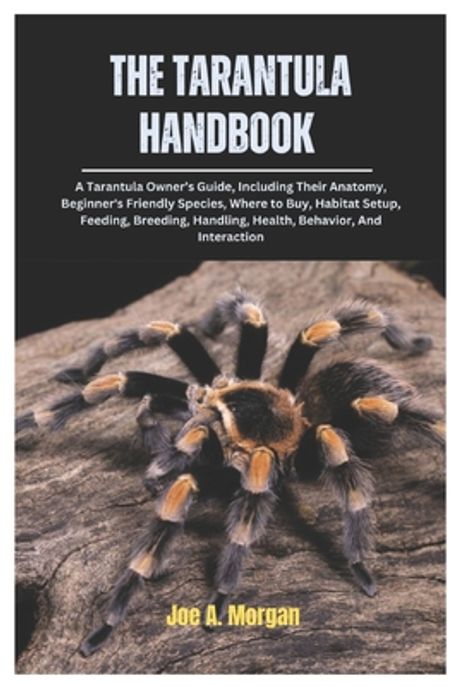 The Tarantula Handbook | Morgan, Joe A. - 교보문고
