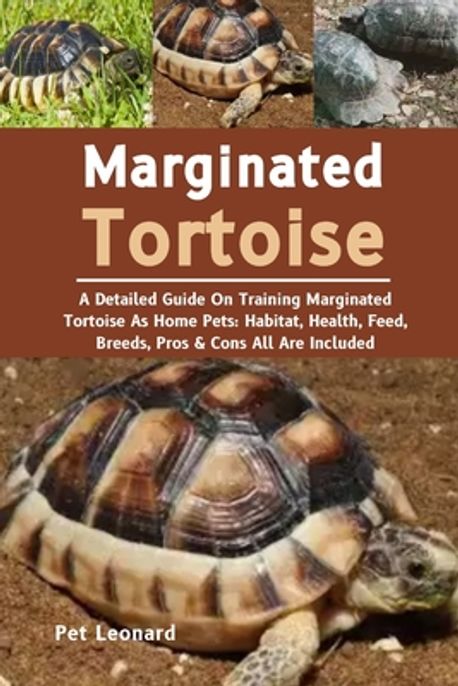 Marginated Tortoise | Leonard, Pet - 교보문고