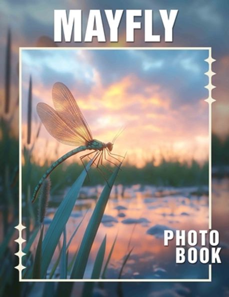 Mayfly Photo Book | Pearce, Sapphire - 교보문고