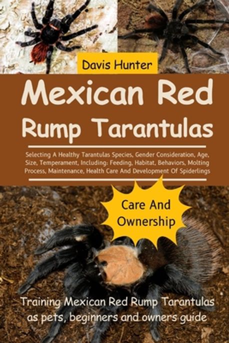 Mexican Red Rump Tarantulas | Hunter, Davis - 교보문고