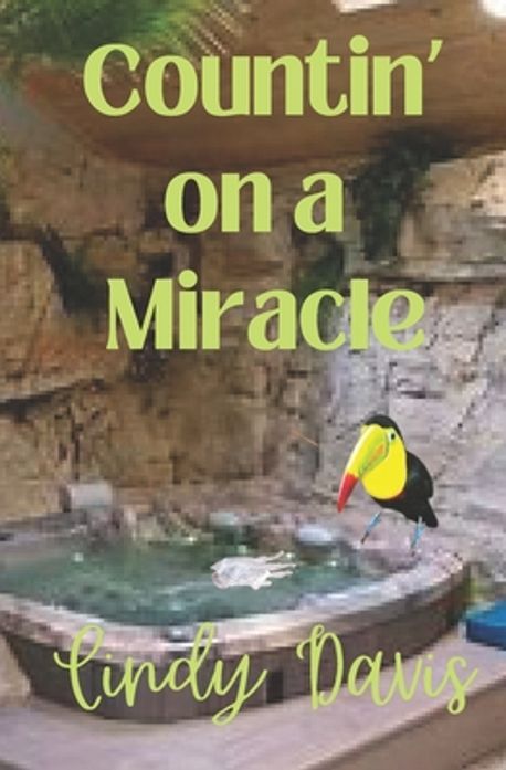 Countin' on a Miracle | Palmacci, Richard - 교보문고