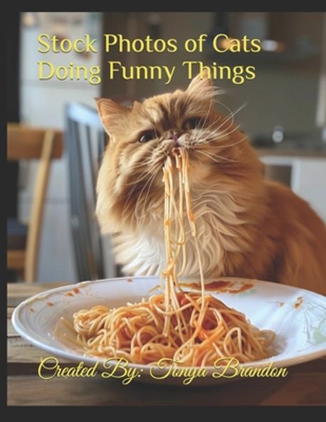 Stock Photos of Cats Doing Funny Things | Brandon, Tonya - 교보문고