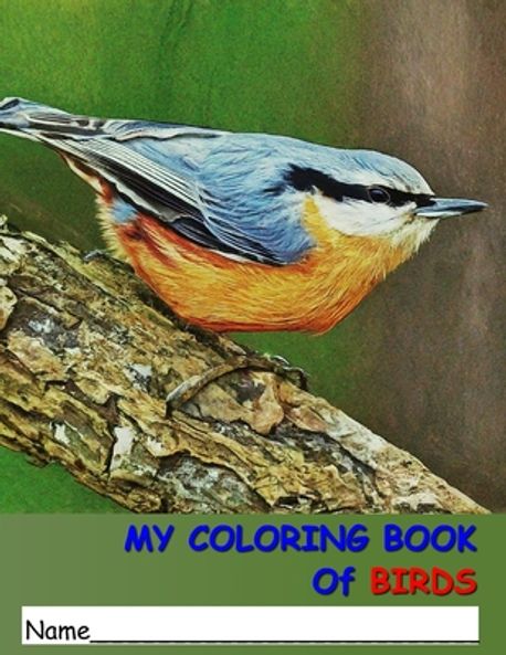My Coloring Book of Birds | Manglefork, Sidney - 교보문고