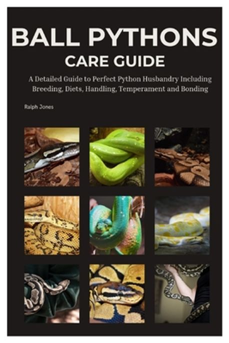 Ball Pythons Care Guide | Jones, Ralph - 교보문고