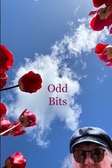 Odd Bits | Ahern, Kevin - 교보문고
