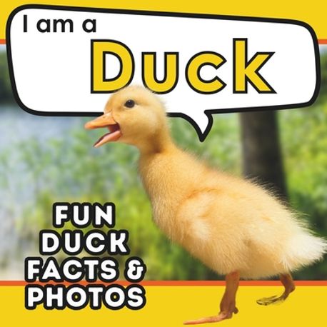 I am a Duck | Brains, Active - 교보문고