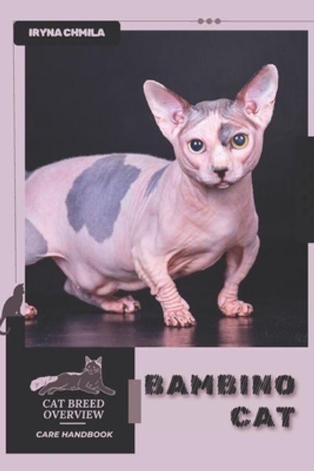 Bambino Cat | Chmila, Iryna - 교보문고