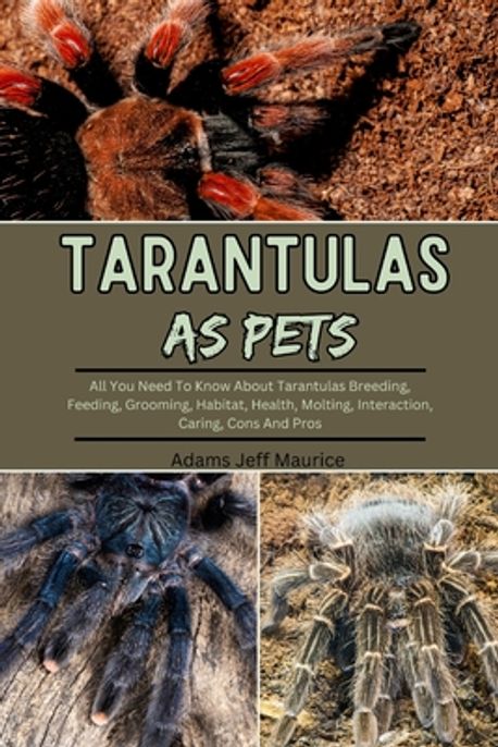 Tarantulas as Pets | Maurice, Adams Jeff - 교보문고
