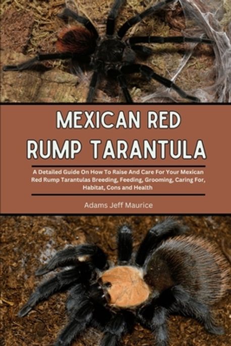 Mexican Red Rump Tarantula | Maurice, Adams Jeff - 교보문고